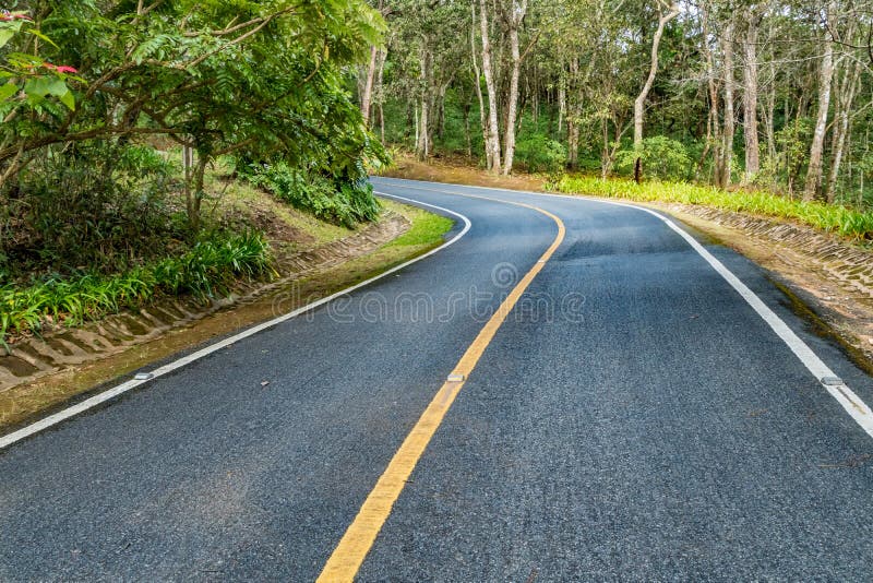 Road in the park stock photo. Image of pathway, path - 83632954