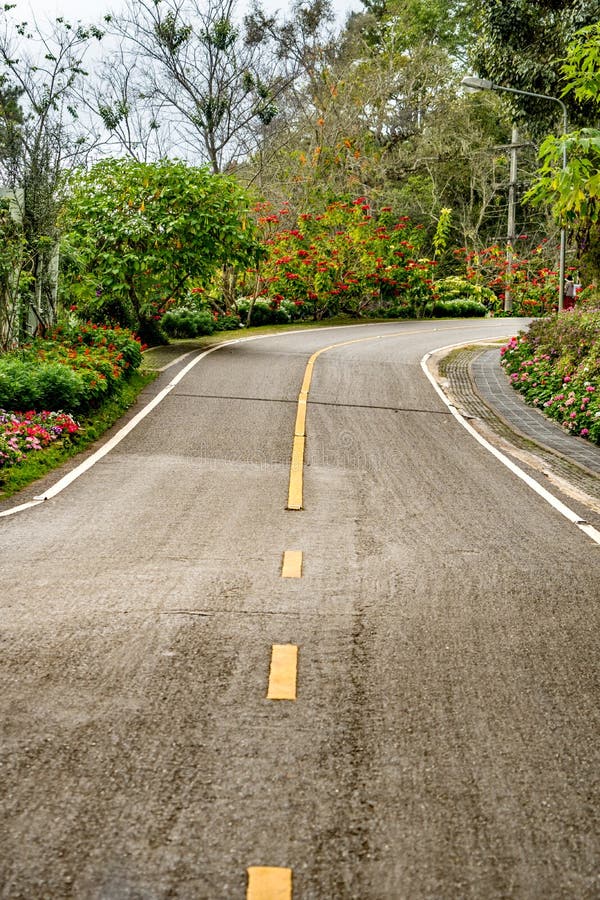 Road in the park stock image. Image of lane, gray, line - 84329491