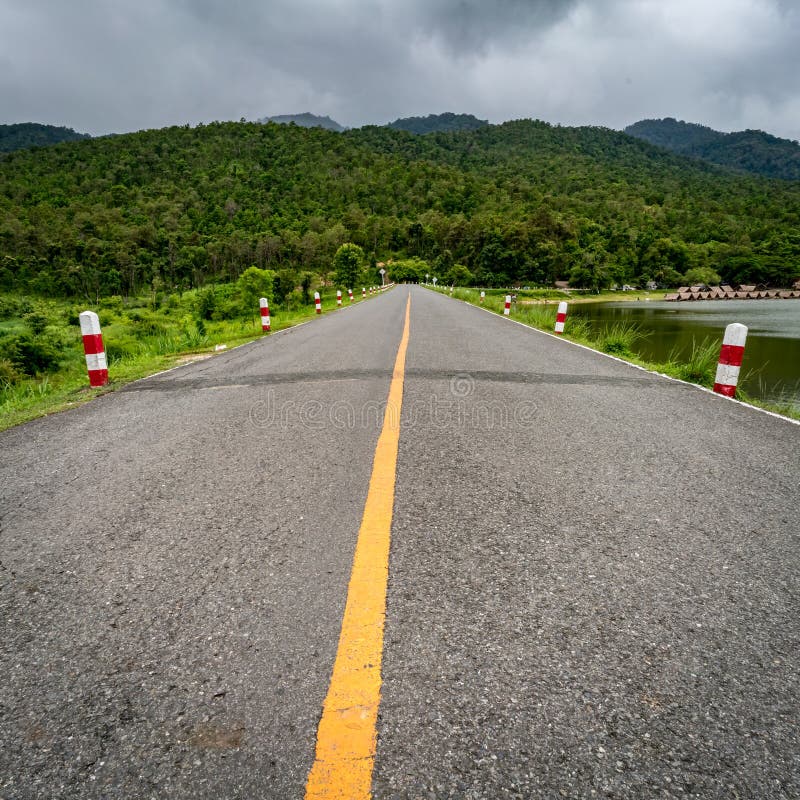 Road in park, Asphalt road with yellow line in the