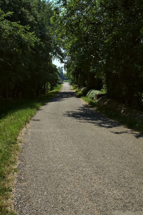 Road in a Park in the Countryside Bordered by Trees at Noon Stock Photo ...