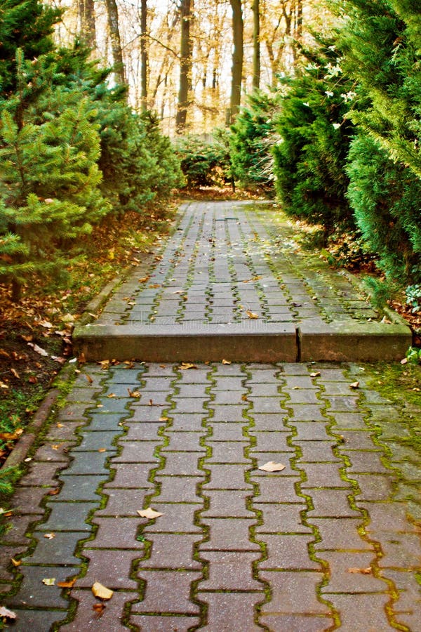 Road in the park stock photo. Image of environmental - 39169488