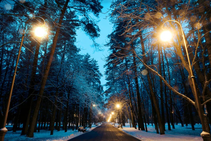Road in the park stock image. Image of magic, screensaver - 106347339