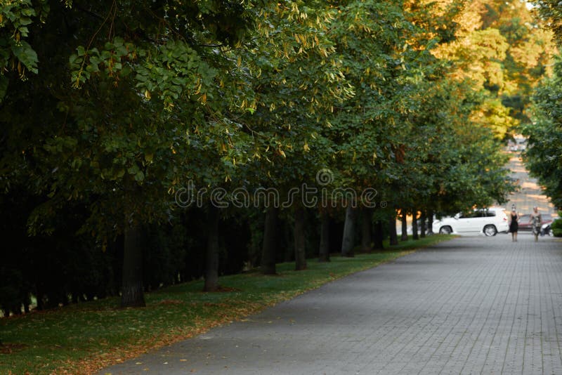 Road in the park stock photo. Image of footpath, people - 192420622