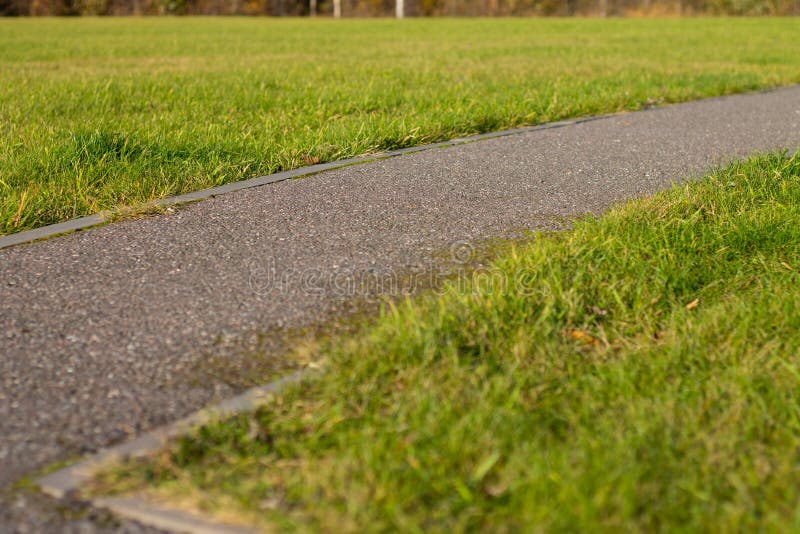 Road in the Park with Green Grass Stock Photo - Image of flower ...