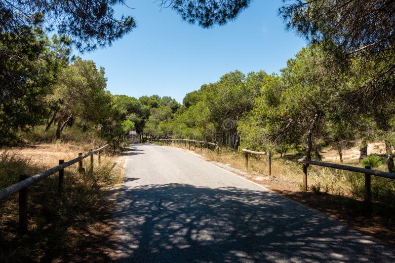 Road in the Park in Guardamar, Spain Stock Image - Image of countryside ...