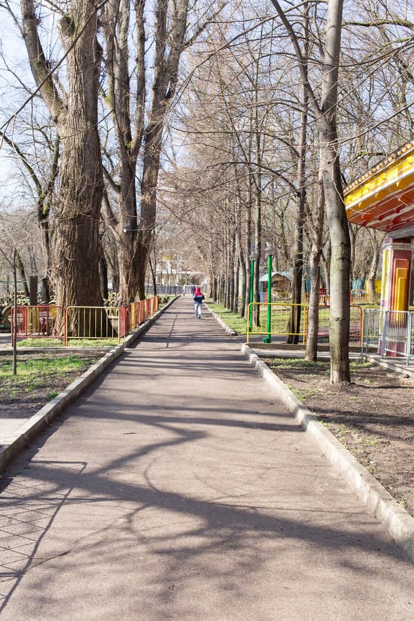 Road through the Park at the Early Spring. Stock Image - Image of ...