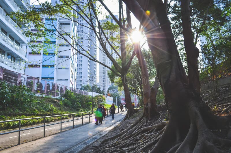 .a Road in Park, Solar Spotlights in the Park Editorial Photography ...
