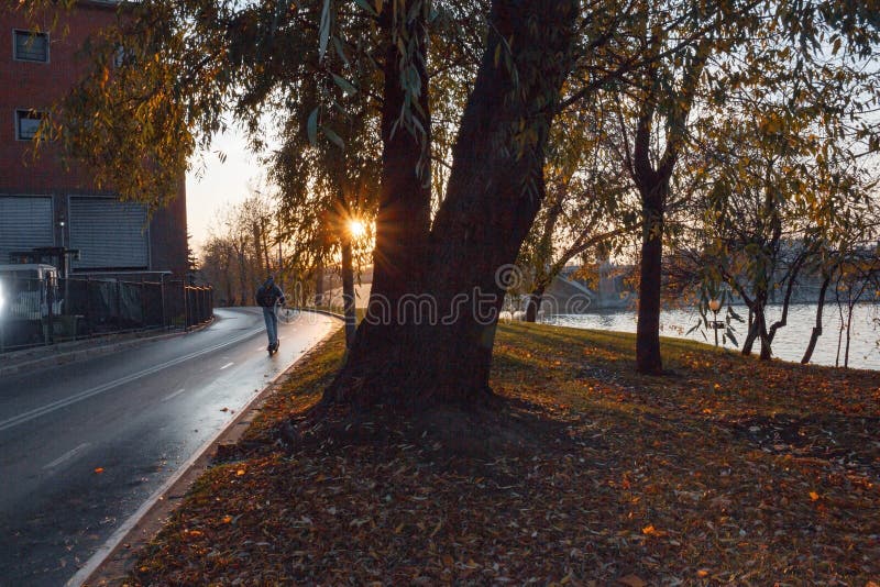 Road in the Park at Sunset with a Passing Man on a Scooter in the ...