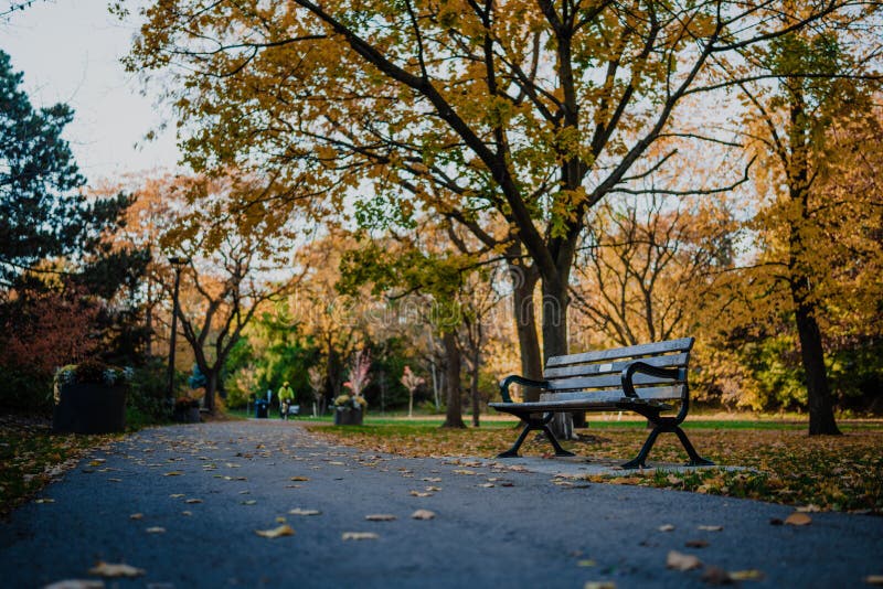 Road in a Park Surrounded by Benches in Autumn Stock Image - Image of ...