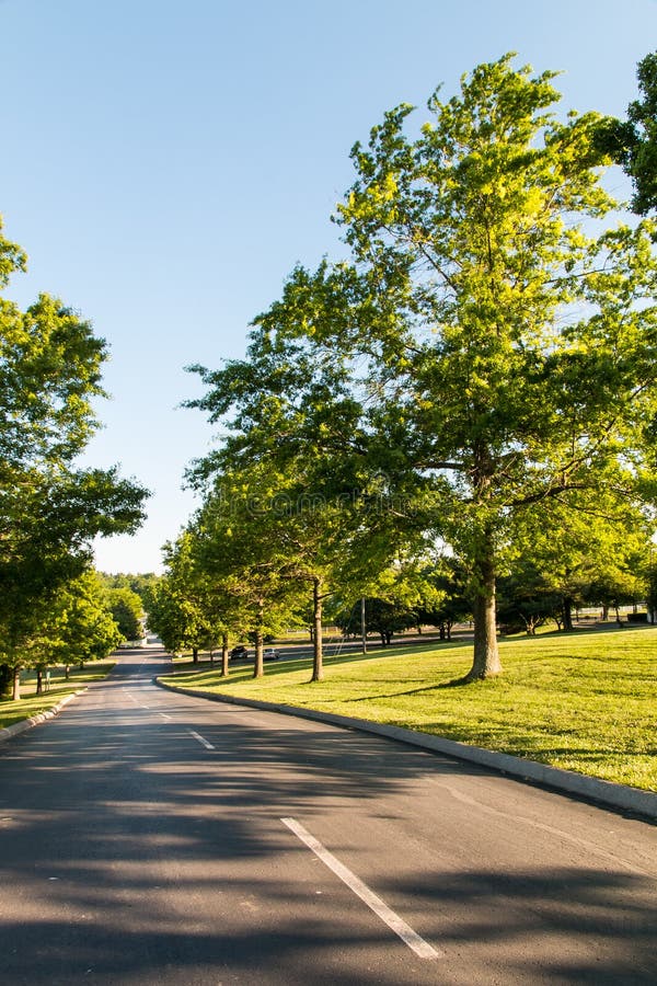 Road in a park. stock photo. Image of color, land, scene - 57141730