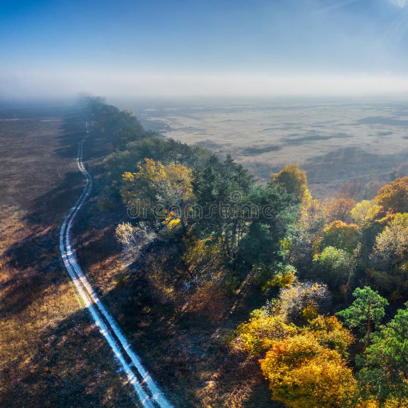 The Road Passing between Autumn Fields and Forest Belts. Aerial View ...