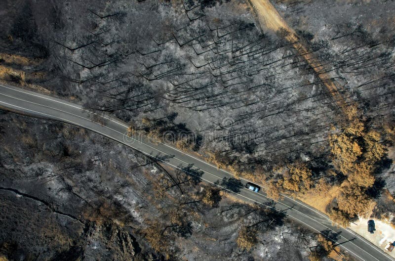 Road Passing through a Burned Forest. Nature Disaster Forest Fire Stock ...