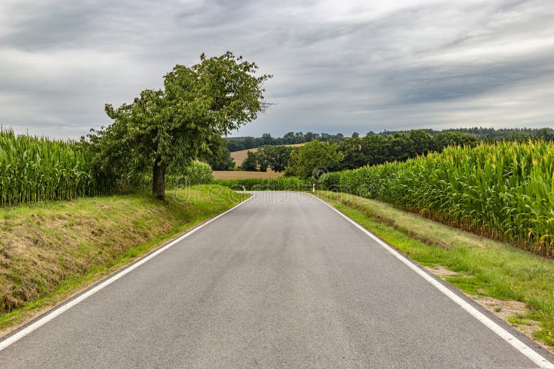 Road Passing through Corn Fields. Summer Day Stock Image - Image of scenery, scenic: 326819727