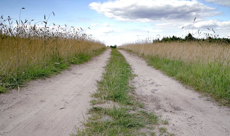 Sky, Grassland, Road, Path Picture. Image: 118430675