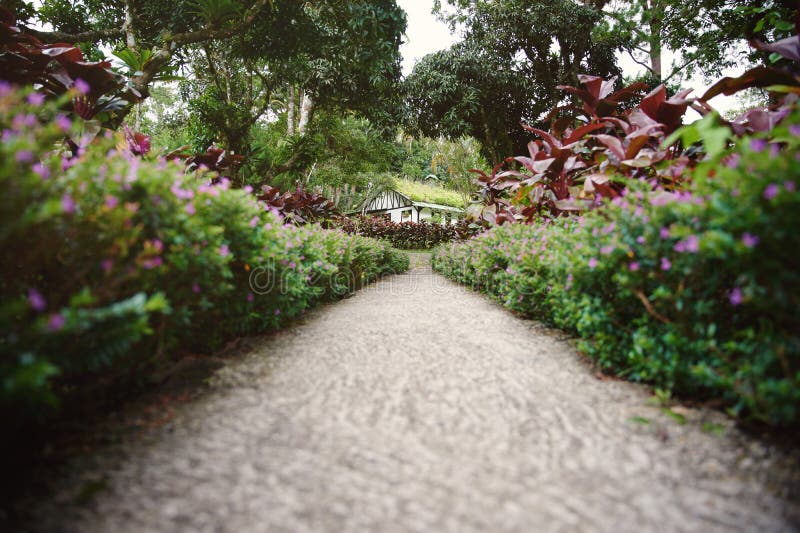Road path in garden 库存图片. 图片 包括有 横向, 安静, 玻色子, 运输路线, 自然 - 167233795