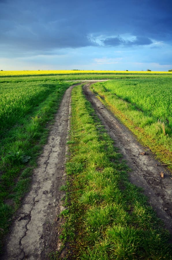 Road, Path, Field, Grassland Picture. Image: 121556485