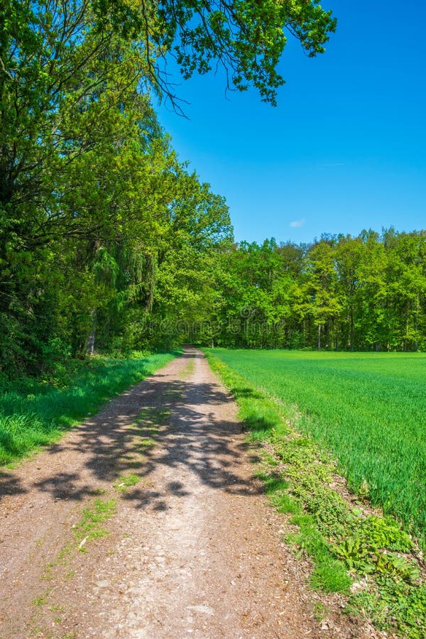 Green, Path, Road, Nature Picture. Image: 102644775