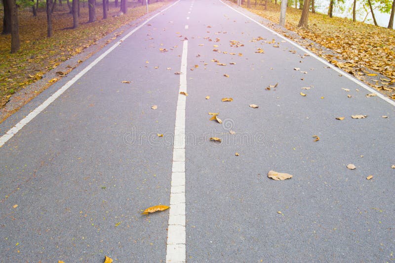 Road path in outdoor park stock photo. Image of landscape - 328947106