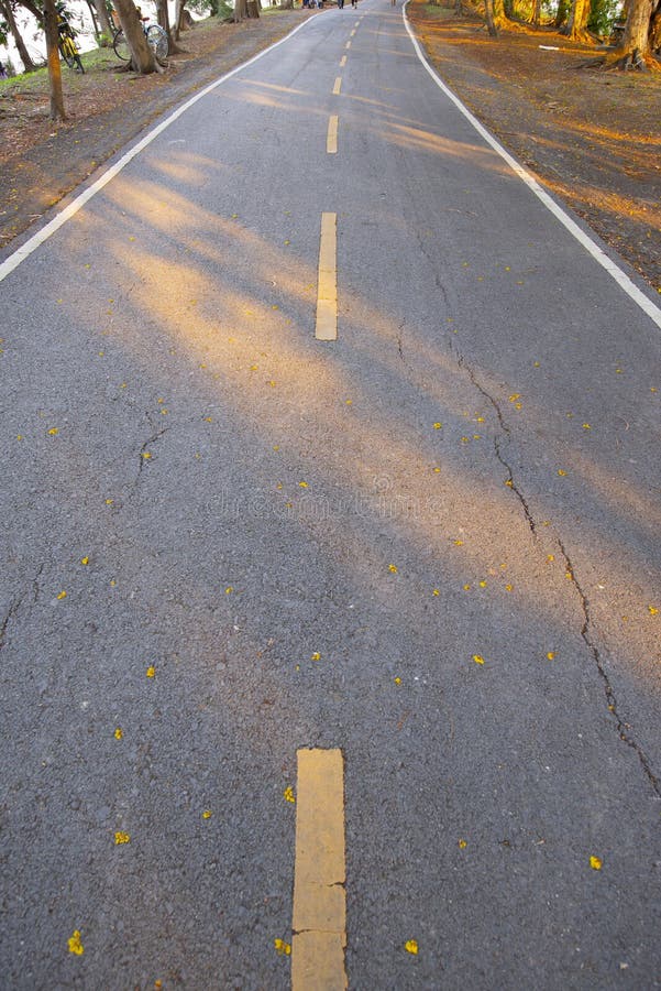 Road Path Scenery of Outdoor Park Stock Image - Image of road, texture ...