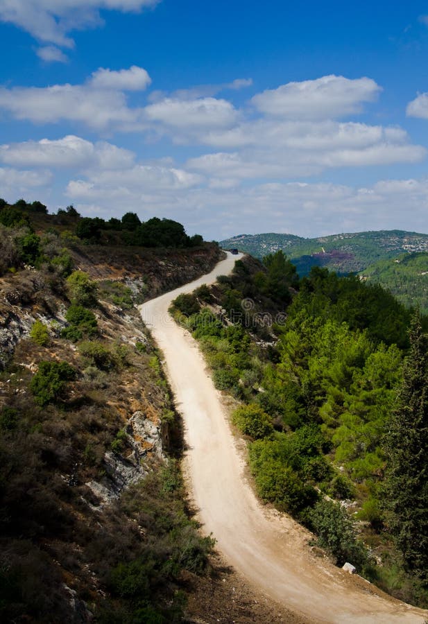 Road, Path, Way, Lane In Beautiful Summer Green Forest Stock Image ...