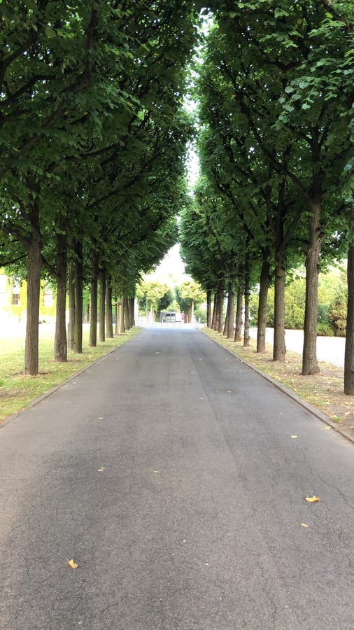 Road stock photo. Image of path, parh, road, tree - 137346510
