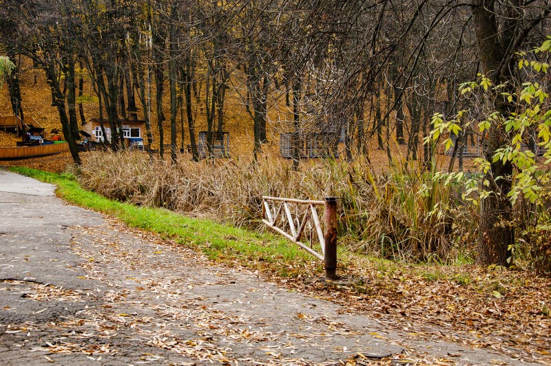 Road Path Way in Autumn Park. Central Park of New York with Pathway ...