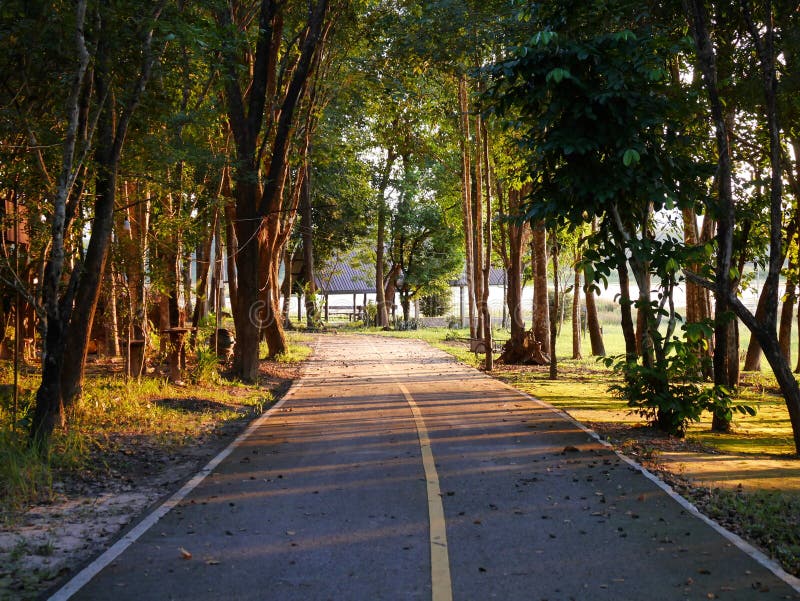 Road and Pathway with Trees in the Sunset, Spring Landscape with ...