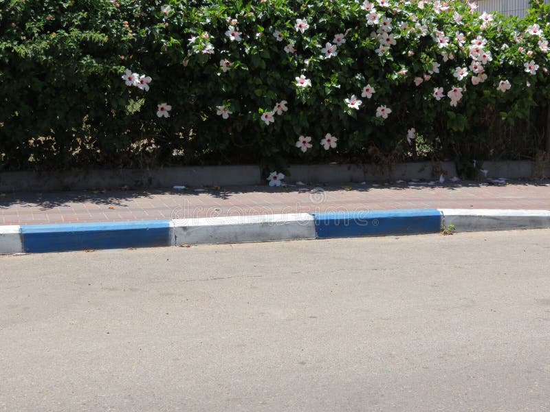 Road Pavement and Blue and White Border Stock Photo - Image of blue ...