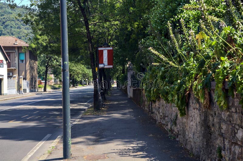 Road and Pavement with Trees Editorial Image - Image of public, cable ...