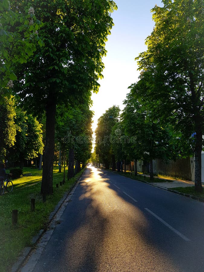Way to somewhere stock image. Image of lane, driving - 213355425