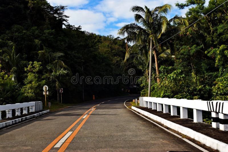 Road in the Philippines with Nature Editorial Image - Image of forest ...