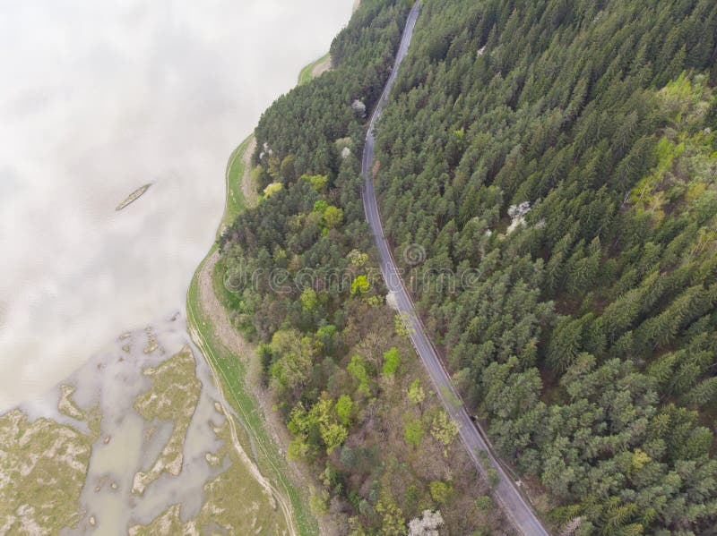 Road and Pond in Forest. Aerial View Landscape Stock Image - Image of ...