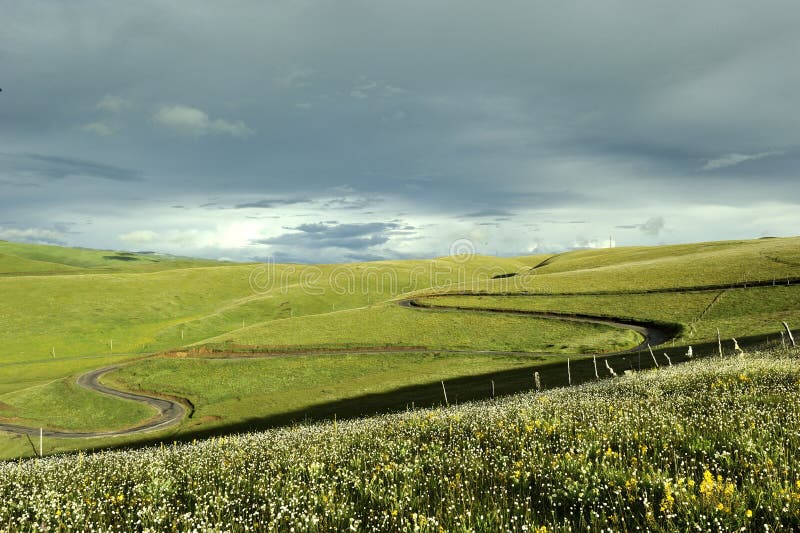 Road in prairie stock image. Image of travel, nature - 28135995