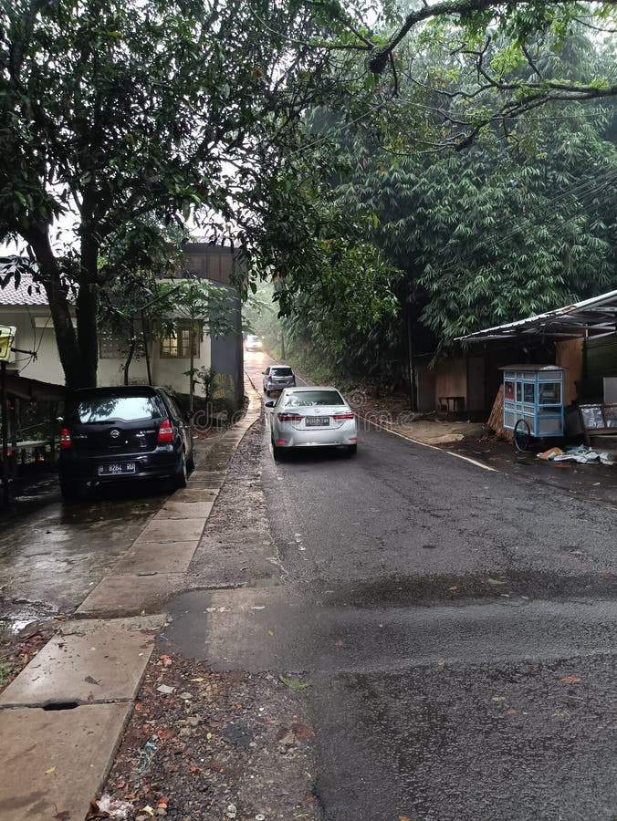 Road after Rain Car Tree Hill Editorial Photography - Image of tree ...