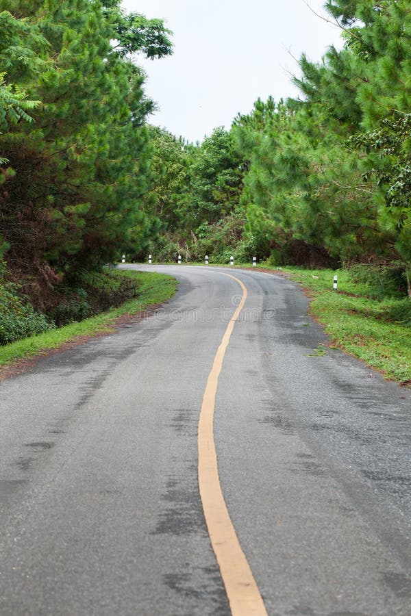 The Road through the Rainforest Stock Photo - Image of motion, journey ...