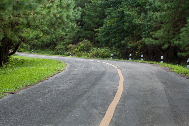 The Road through the Rainforest Stock Image - Image of open, journey ...