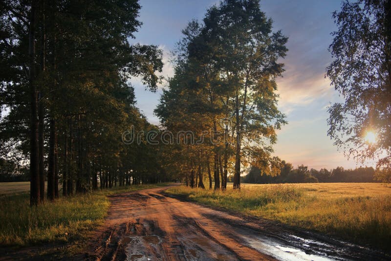 Road on the ranch stock photo. Image of road, abandoned - 61798300