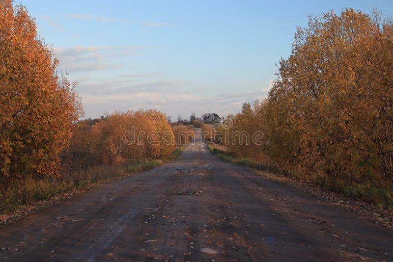 Road on the ranch stock image. Image of empty, ireland - 61577721