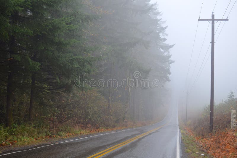 Road receding into fog stock image. Image of byway, perspective - 48240175