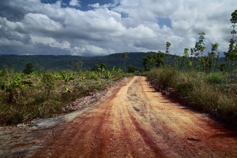 Road stock photo. Image of gravel, soil, green, lane - 45683034