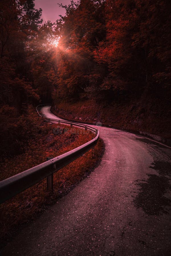 Road and Red Trees in the Mountain Stock Image - Image of mountain ...