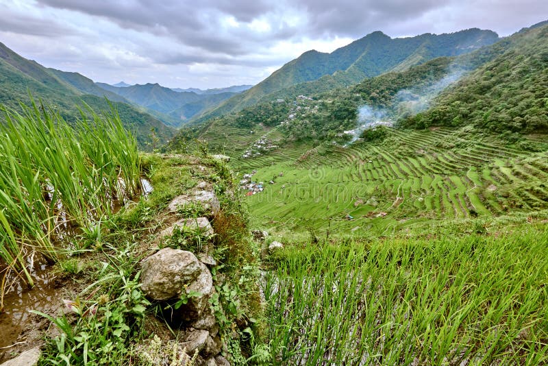Road in Rice Paddy Terrace Fields Philippines Stock Photo - Image of ...