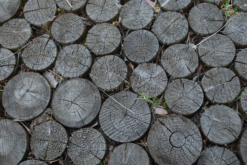 Road from Ring Wooden Blocks. Stock Photo - Image of pattern, closeup ...