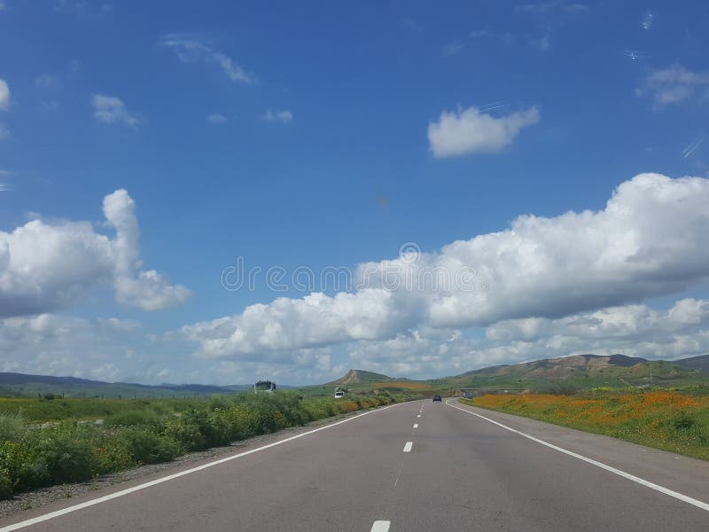 Road rip in morocco stock photo. Image of travel, tree - 163236476