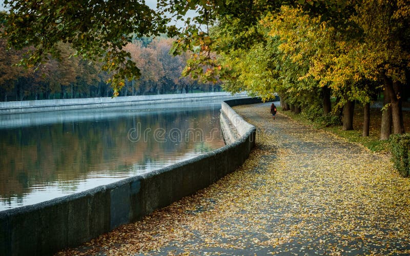 Road and River Channel in the Park Stock Image - Image of country ...