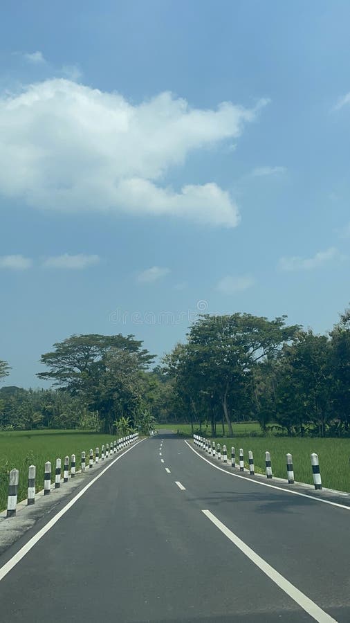 Road stock image. Image of field, view, longroad, road - 315787269