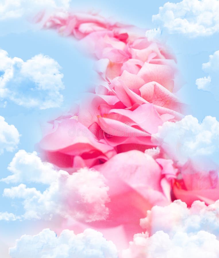 Road of rose petals stock image. Image of cloudy, romance - 4808507