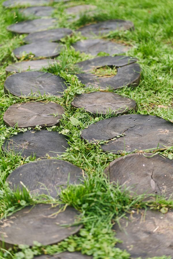 The Road from a Round Cut Tree Stock Photo - Image of ecology, handmade ...