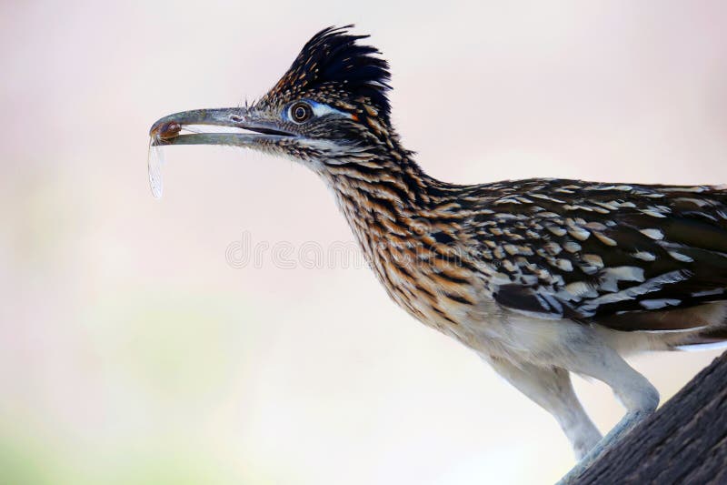 John Joulakian (Italymodena) - Photographer profile