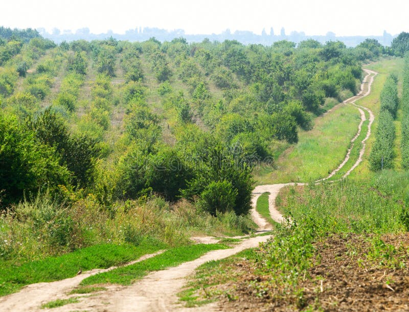 Road Running through the Gardens and Fields Stock Photo - Image of blue ...